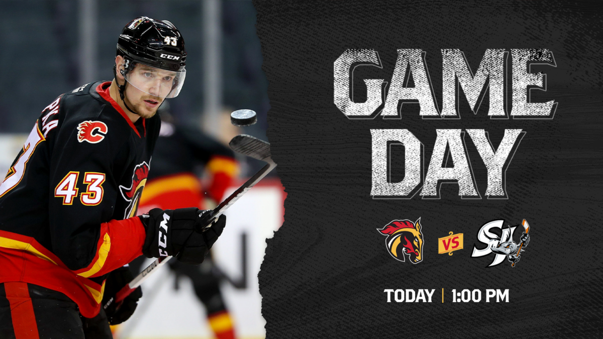 Game Day: Wranglers Battle Barracuda - Calgary Wranglers